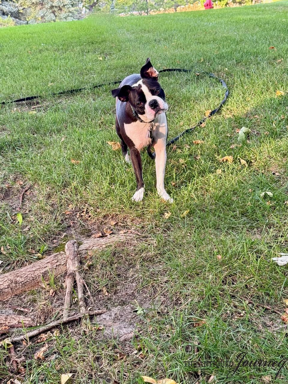 Journey Jots #48 - The Antiqued Journey